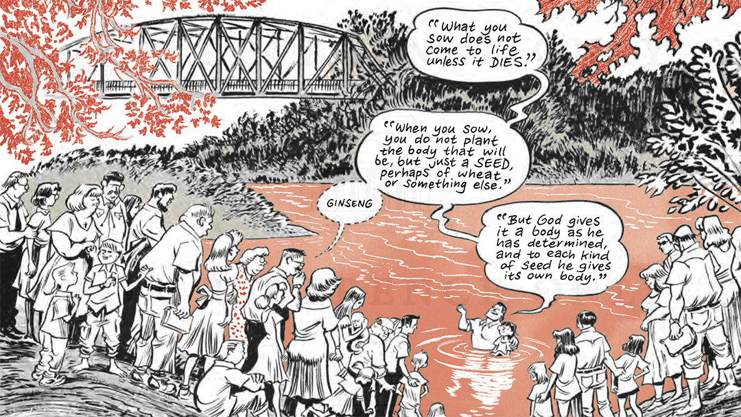Craig Thompson Interview: On Comics and Ginseng Roots - Comics Grinder